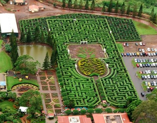 Seis espectaculares laberintos donde estarás encantado de perderte